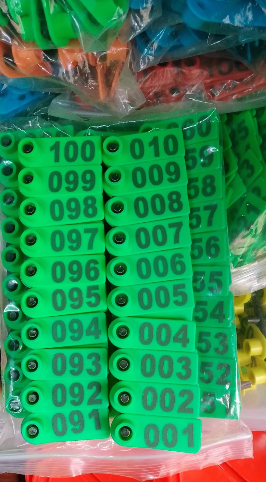 Sheep and Goat Ear Tags in Kenya | Livestock Identification Tags